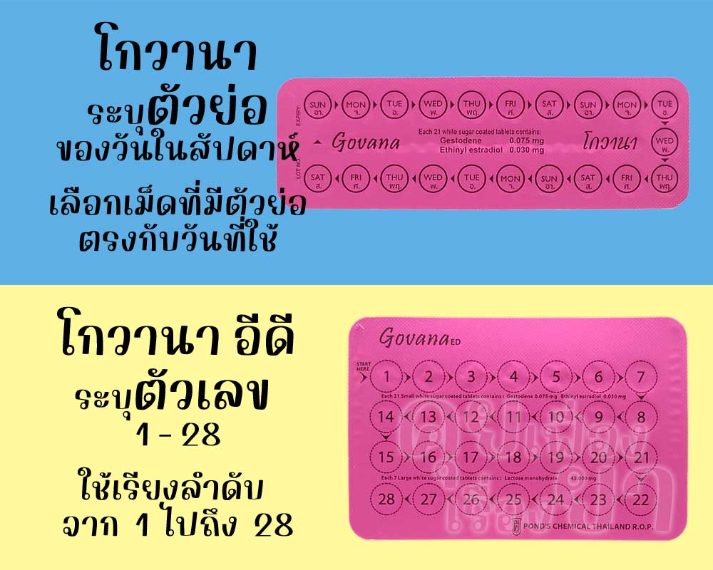 โกวานา (Govana) – โกวานา อีดี (Govana ED) – คุยเฟื่องเรื่องยา
