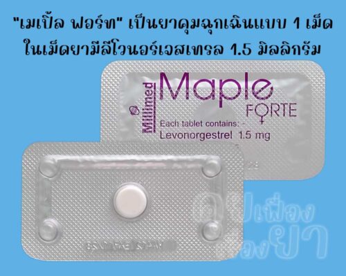 ยาคุมฉุกเฉิน “เมเปิ้ล ฟอร์ท” (Maple forte) – คุยเฟื่องเรื่องยา