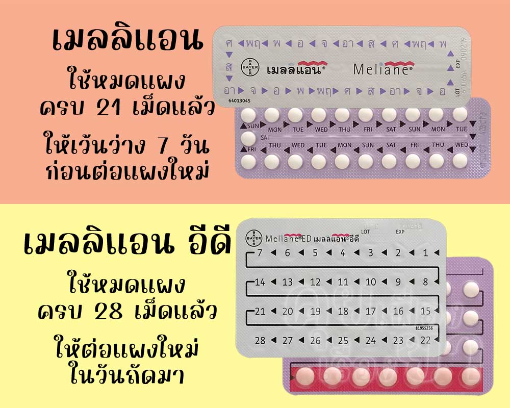 เมลลิแอน (Meliane) – เมลลิแอน อีดี (Meliane ED) – คุยเฟื่องเรื่องยา