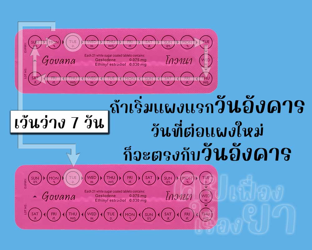 โกวานา (Govana) – โกวานา อีดี (Govana ED) – คุยเฟื่องเรื่องยา