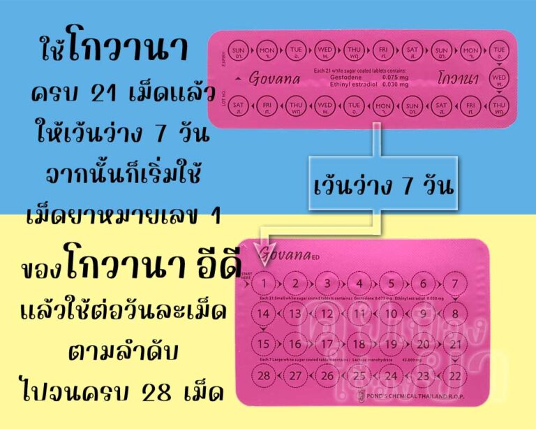 โกวานา (Govana) – โกวานา อีดี (Govana ED) – คุยเฟื่องเรื่องยา